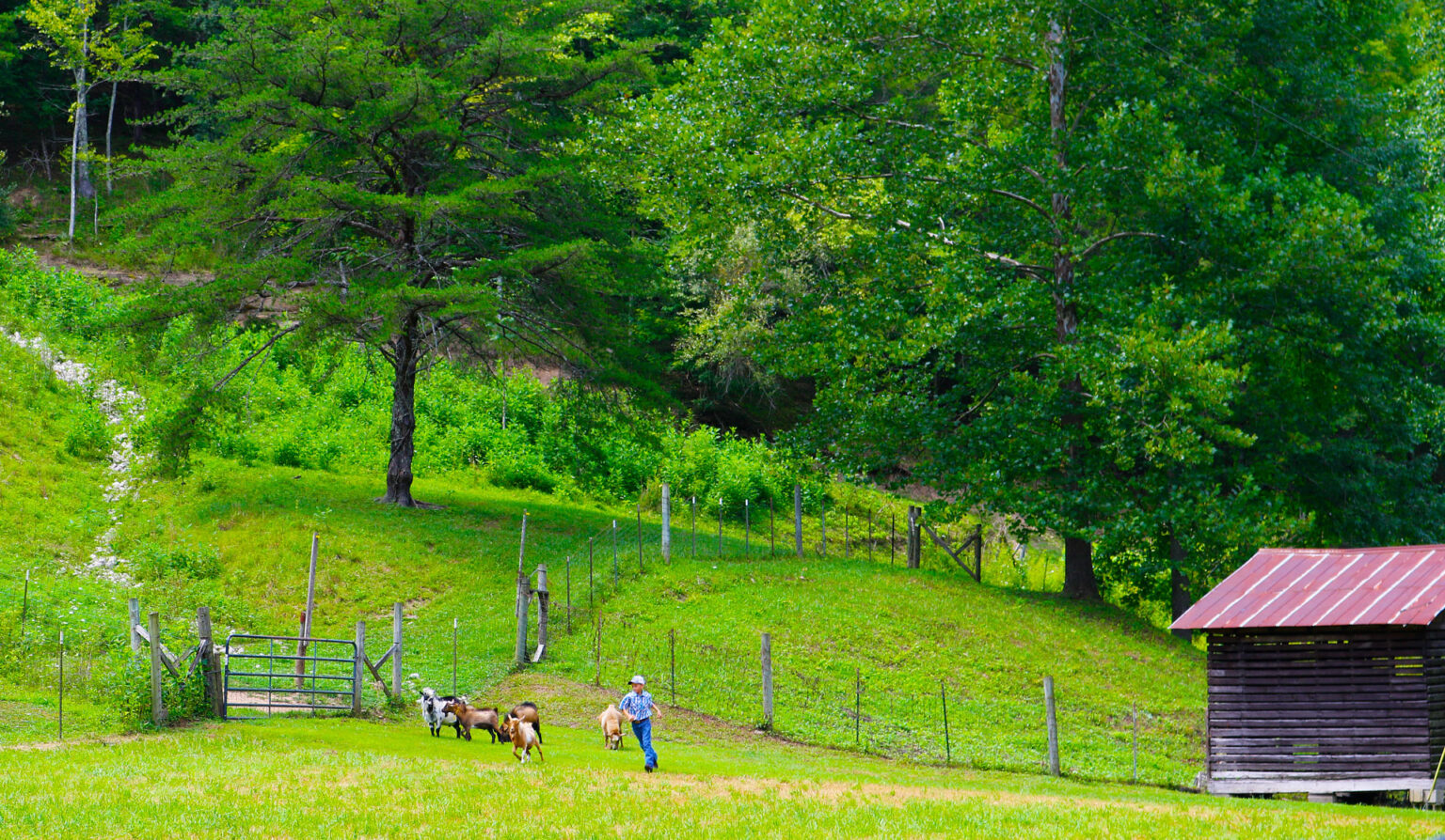 Rustic Charm Farm | Where Rustic Meets Refined