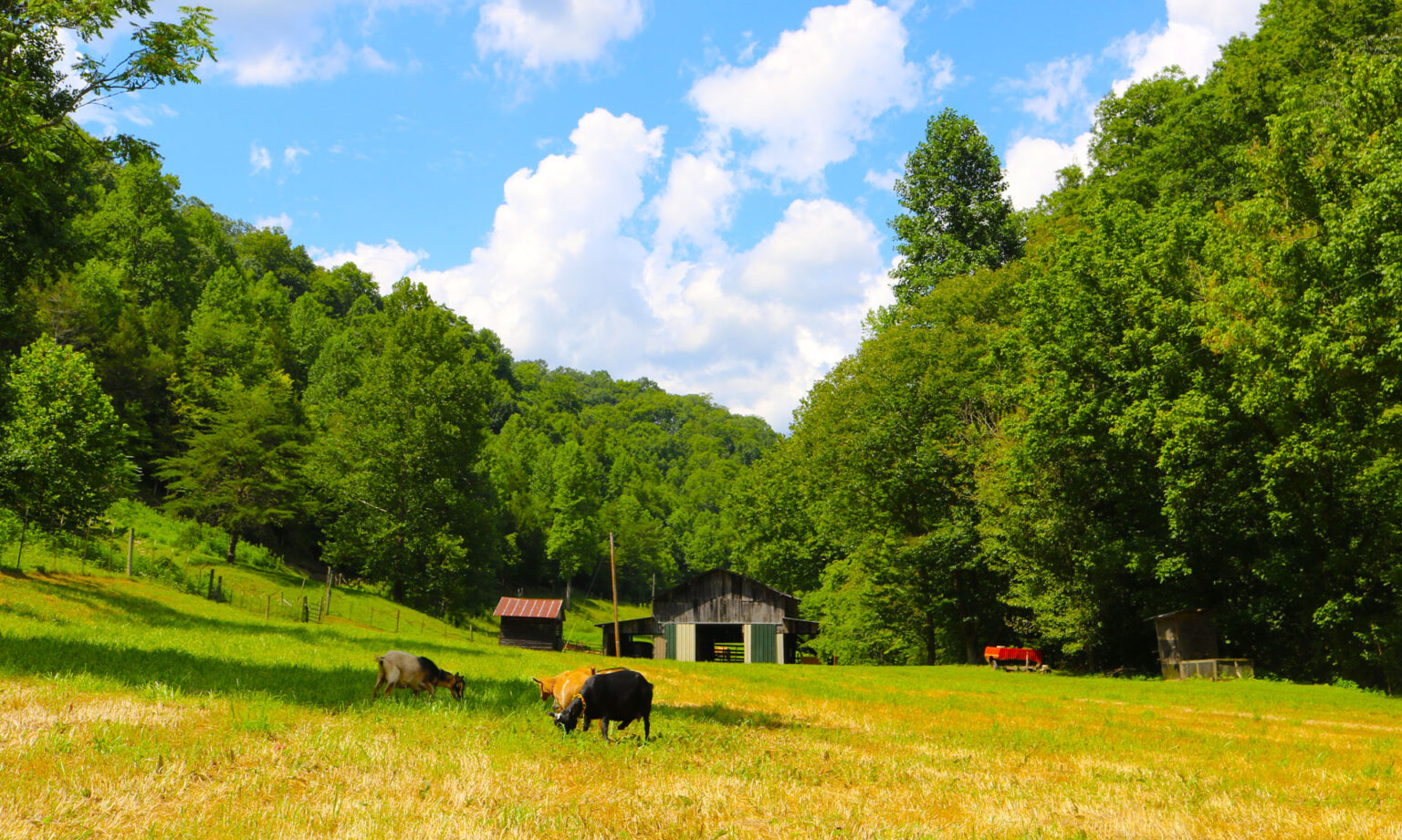 Rustic Charm Farm | Where Rustic Meets Refined